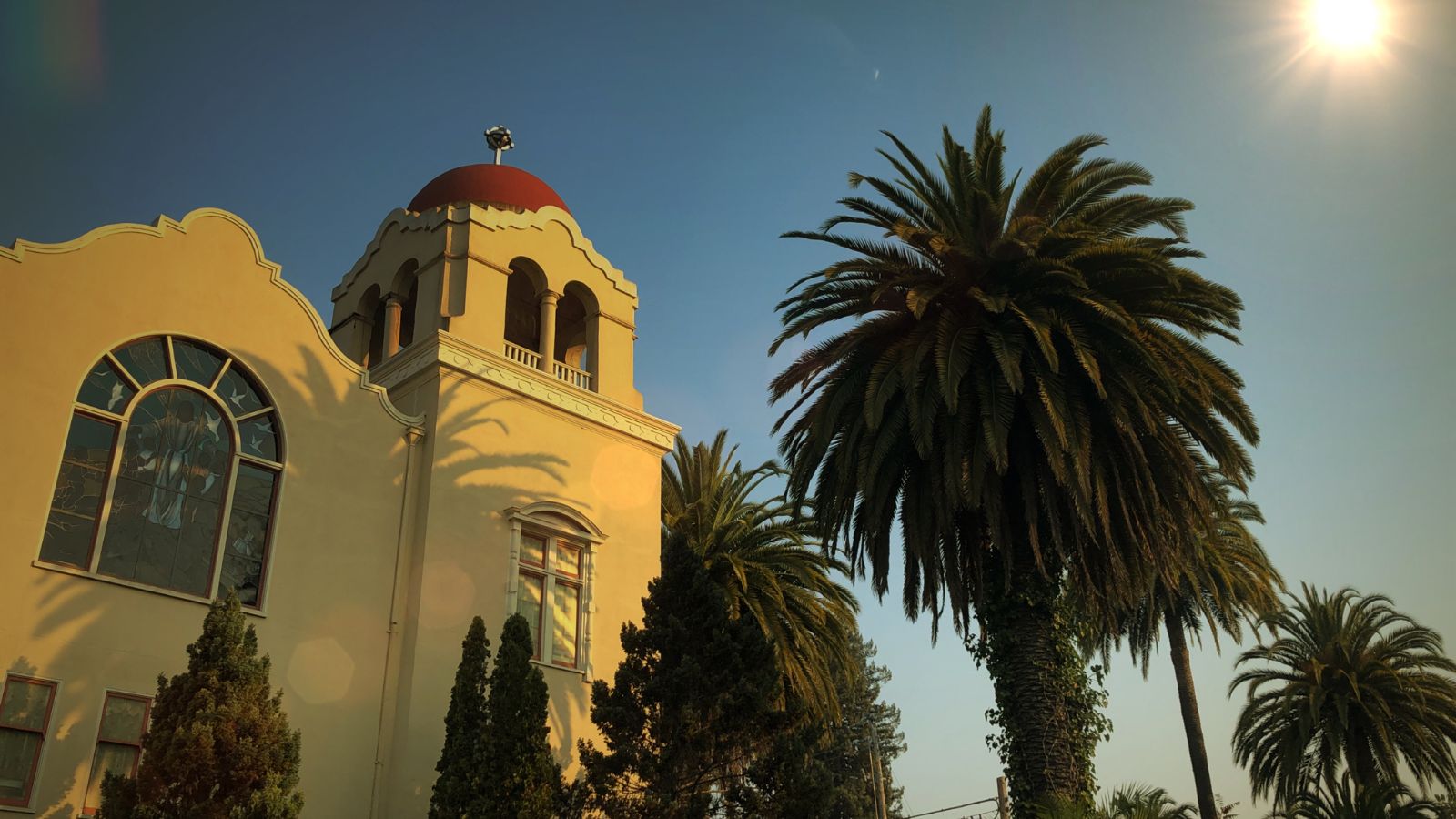 Sebastopol/West County, CA - Norman Home Team Wine Country